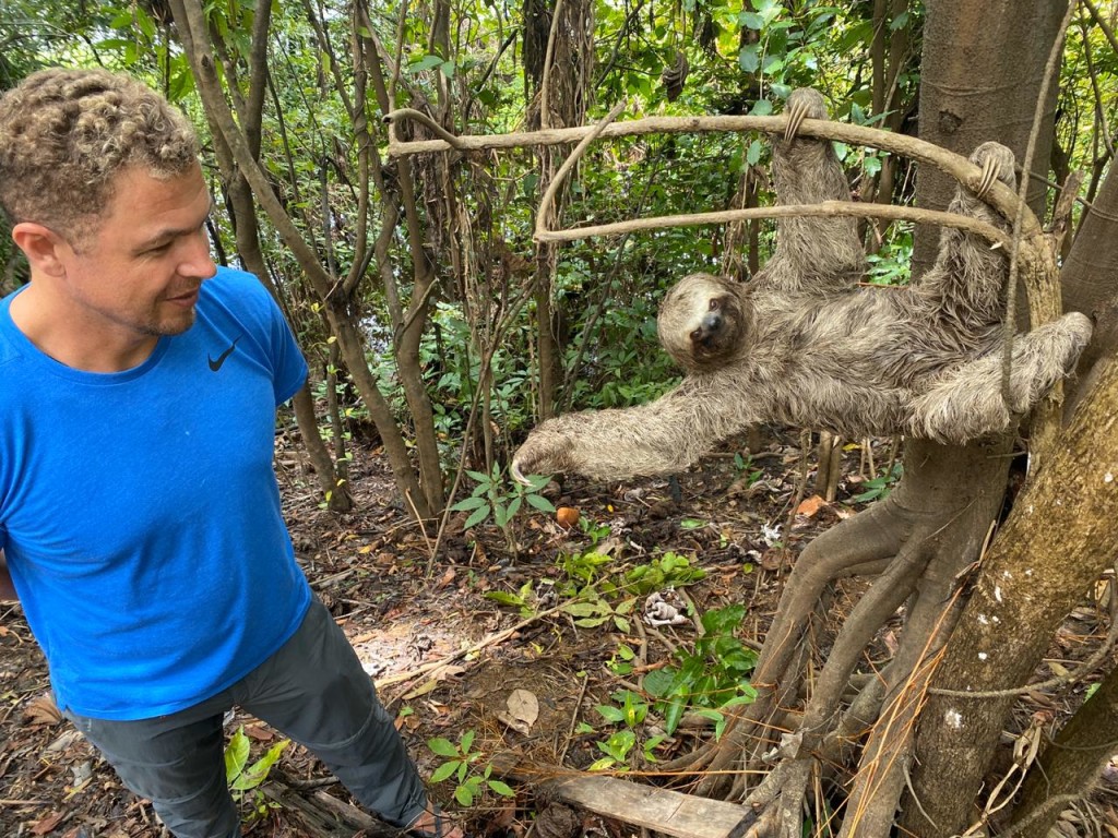 The Amazon Rainforest – The World’s greatest classroom – Mr Horrocks ...