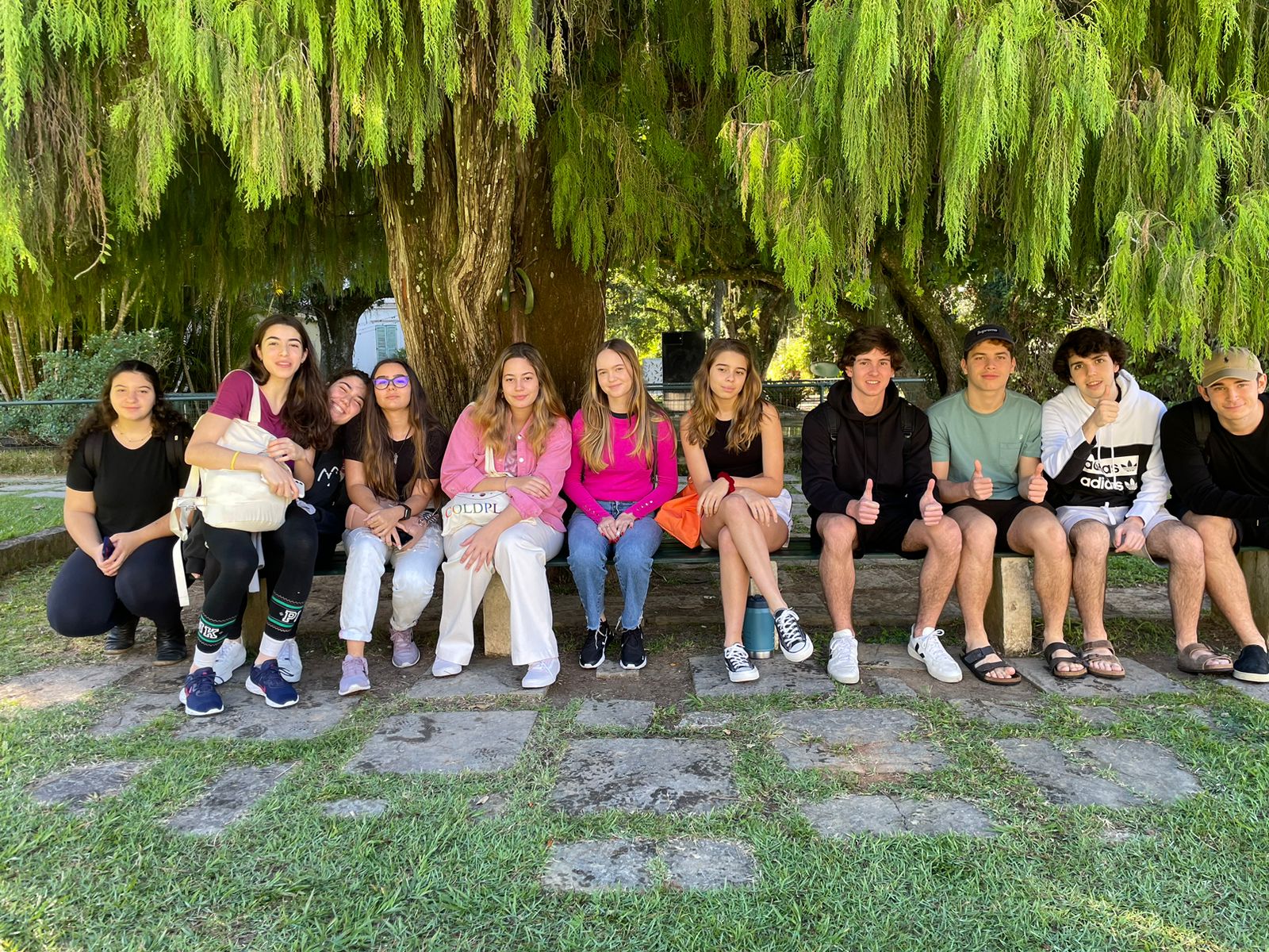 Back to the Trees – Mr Horrocks' Biology