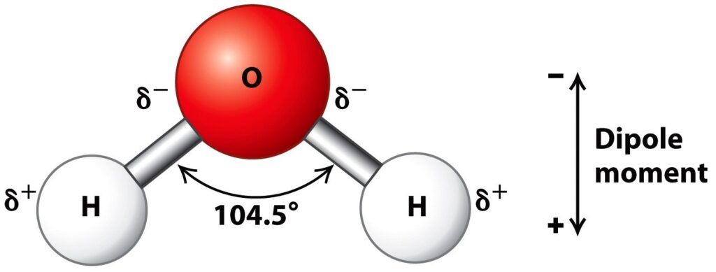 D2.3 Water Potential – Mr Horrocks' Biology