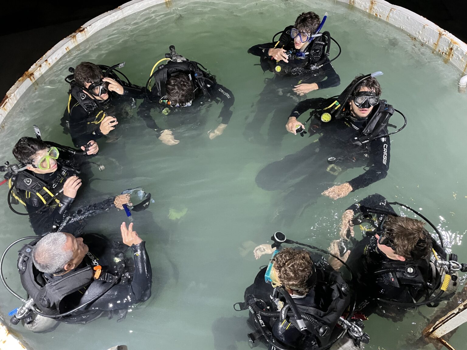 Mr Horrocks' Biology – Lessons and Life Lessons in Biology